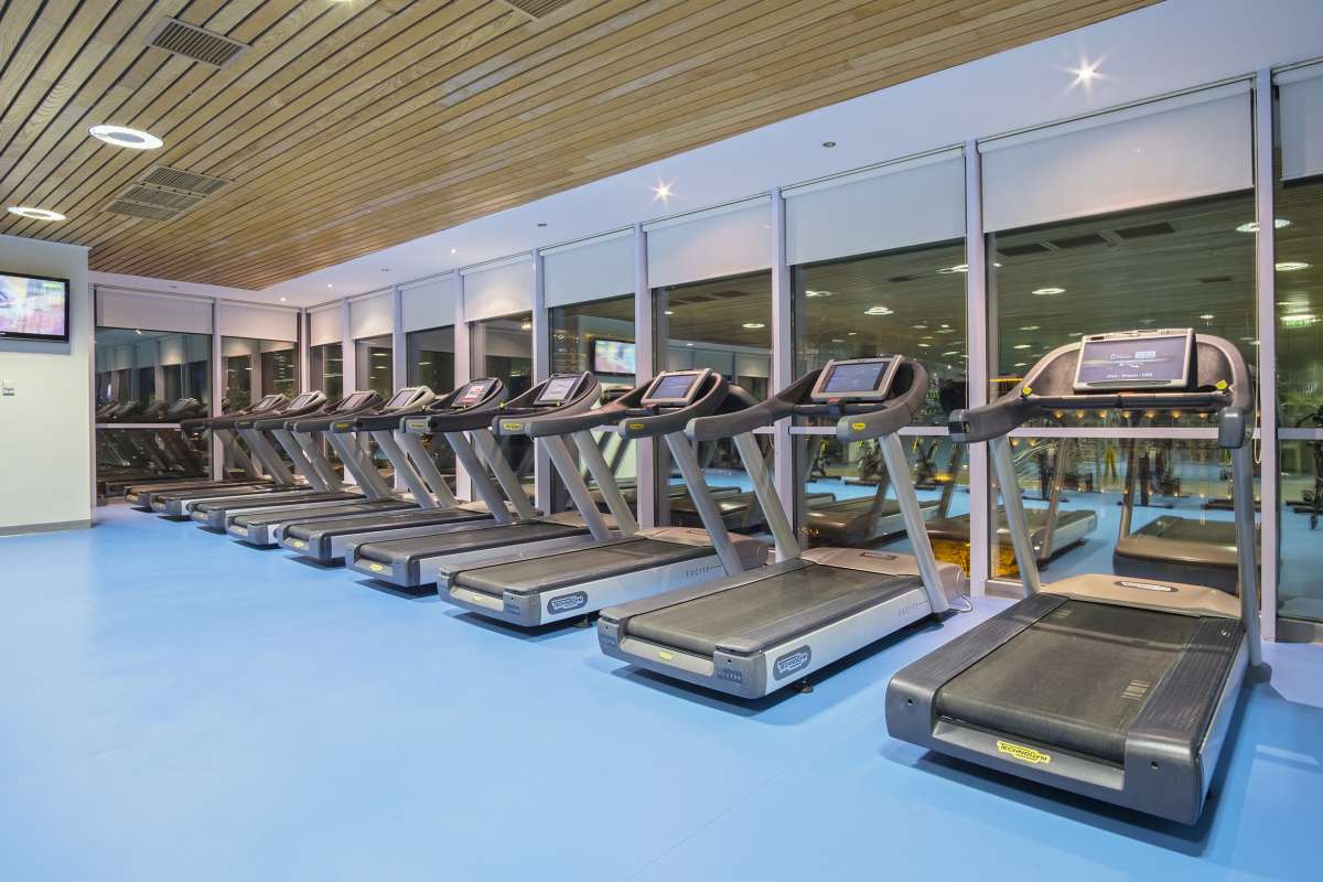 Landmark Gym Equipment at Amanda Okane blog
